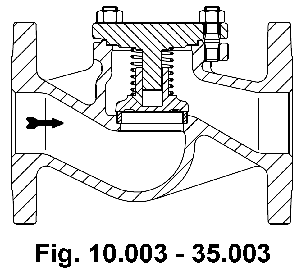 ARI CHECK VALVE ARI PN40 DN50 L/L GS-C25N 35.003 | Steel Check And Foot ...